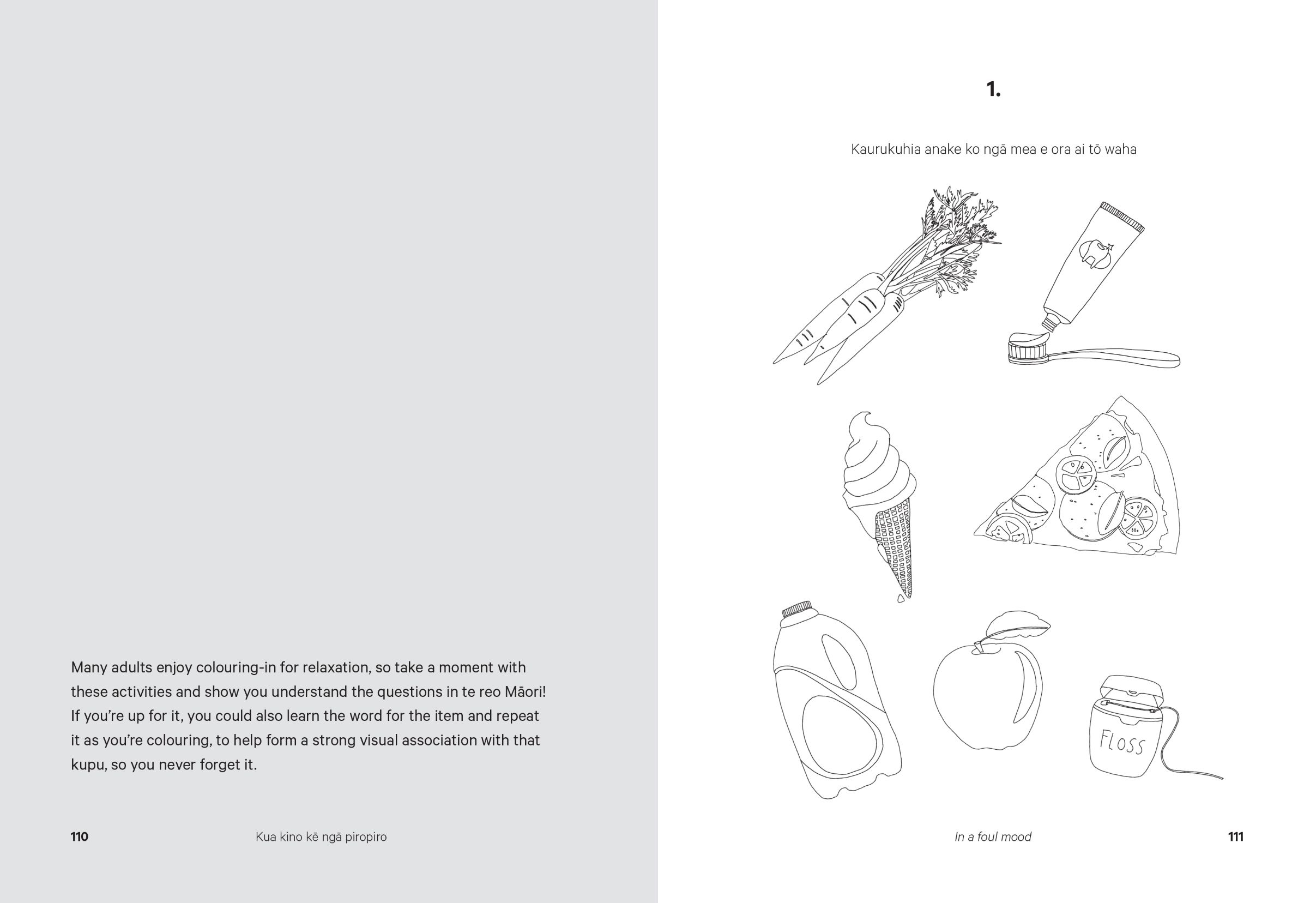 Maori Made Fun — Edify Award for Best Educational Book or Series ...